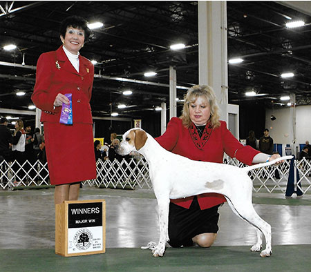 Marjetta Pointers and English Cockers - News